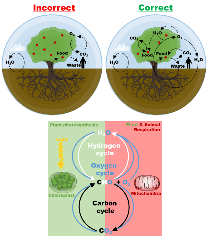 The science of enclosed ecosystems | P. A. Kramer